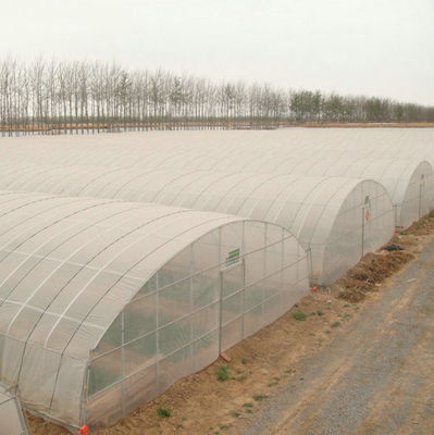 Stable Structure Tunnel Greenhouse for Vegetable Fruits Flowers in ...